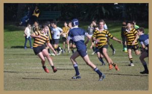 Cooper - Cooper Rice-Brading Foundation